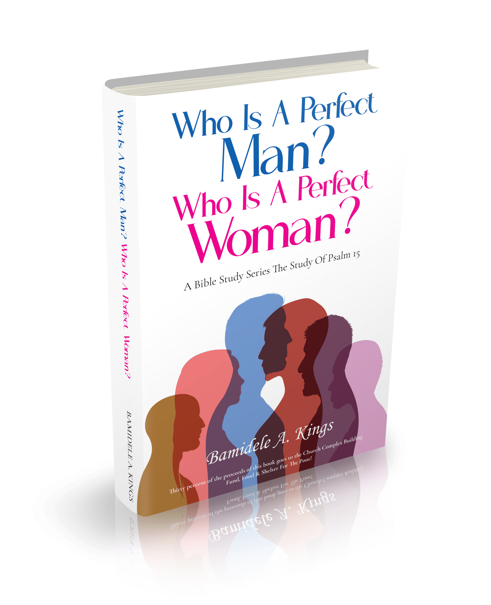 “Who Is A Perfect Man? Who Is A Perfect Woman?” by Bamidele A. Kings is ...